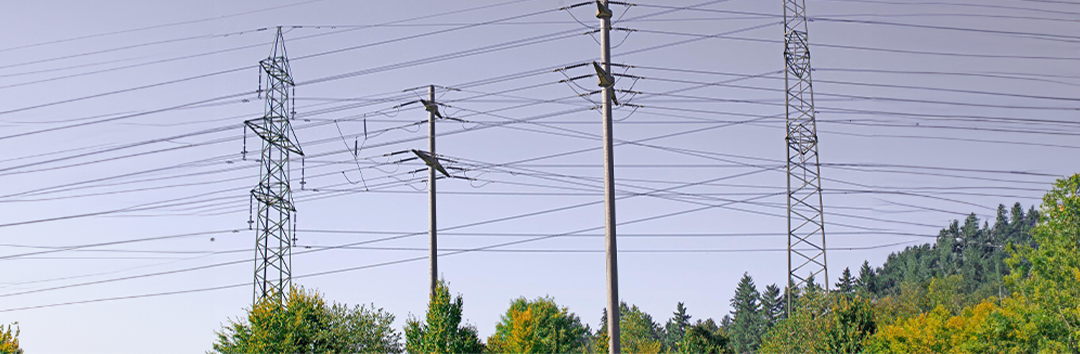 Grid & Grid Services | Axpo