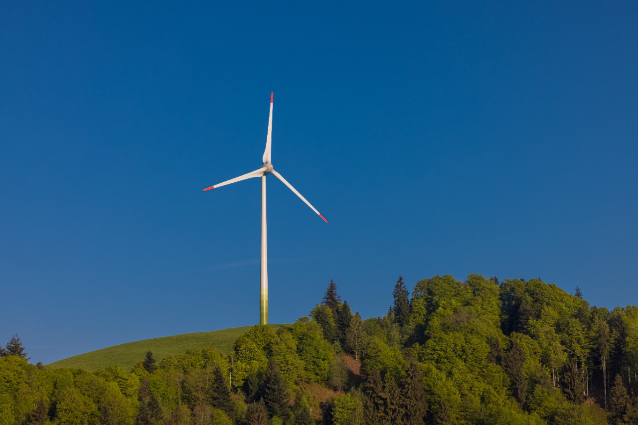 Axpo gathers wind and wildlife data for Swiss project