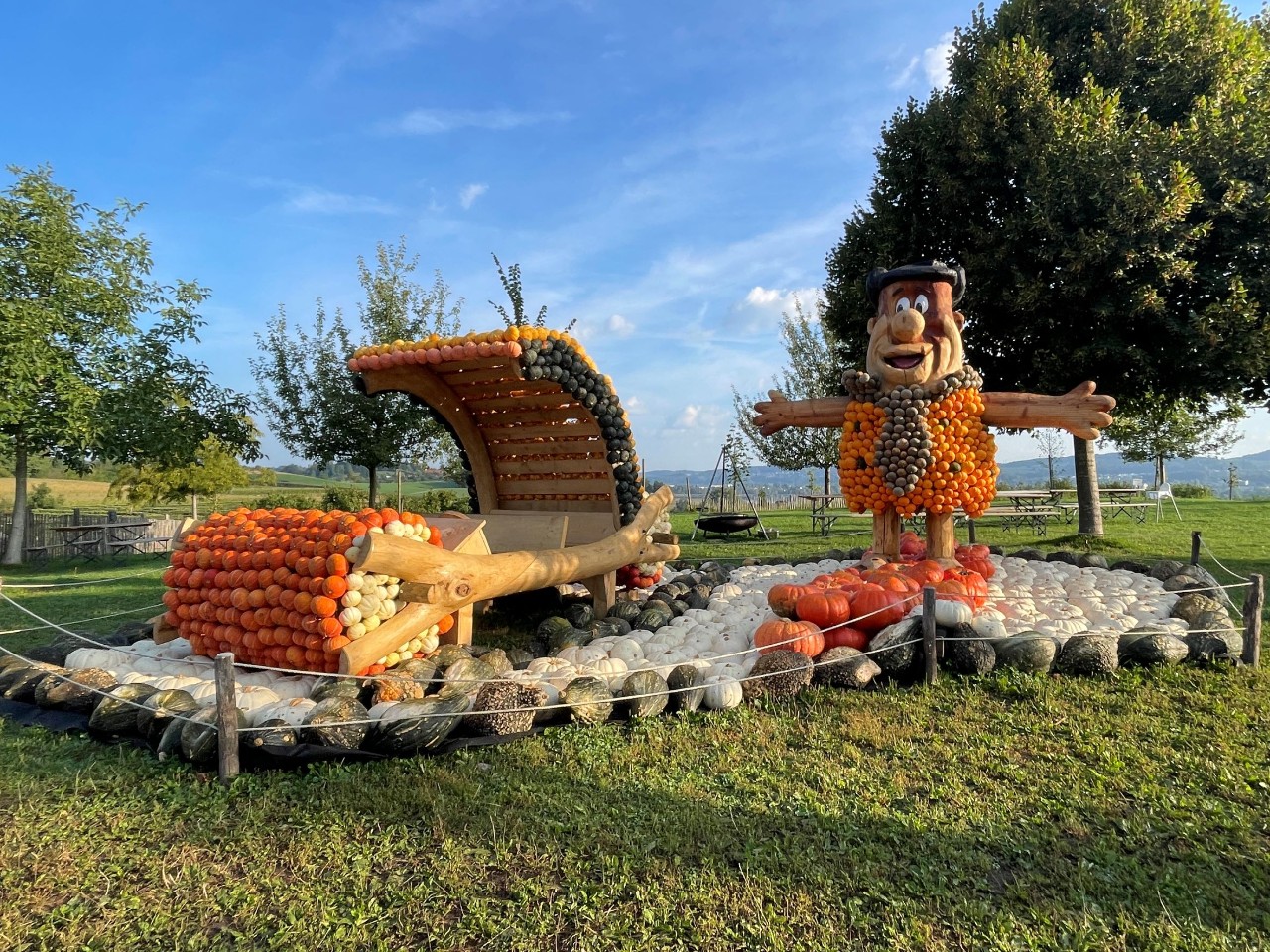 Energy from pumpkins | Axpo