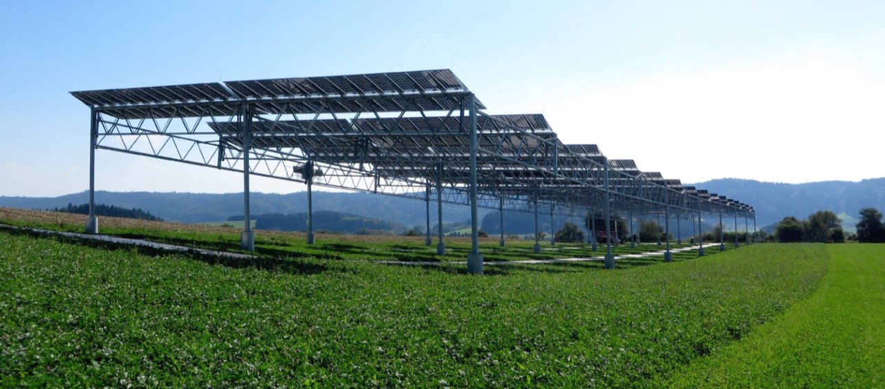 Solar power on top – potatoes down below | Axpo