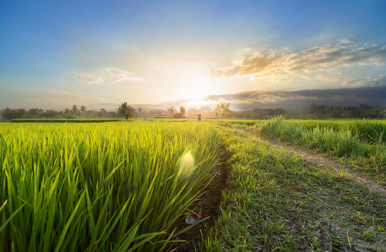 «Es ist die Zeit der Green Economy»