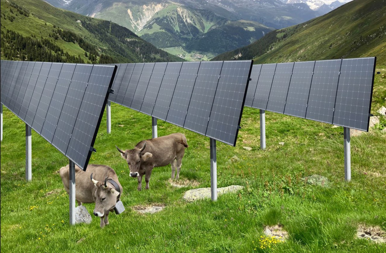 Axpo expanding solar ambitions six-fold in Switzerland and building the ...