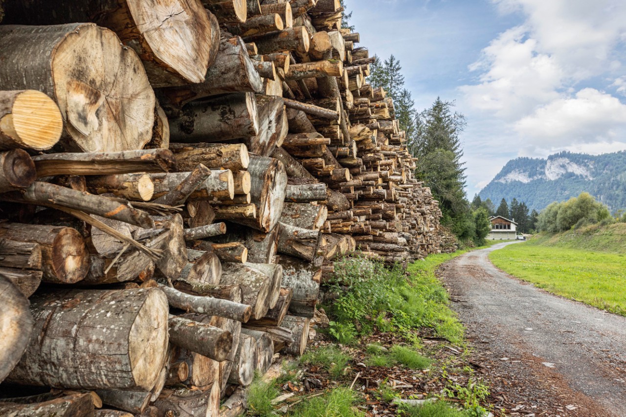 Biomass & Wood | Axpo